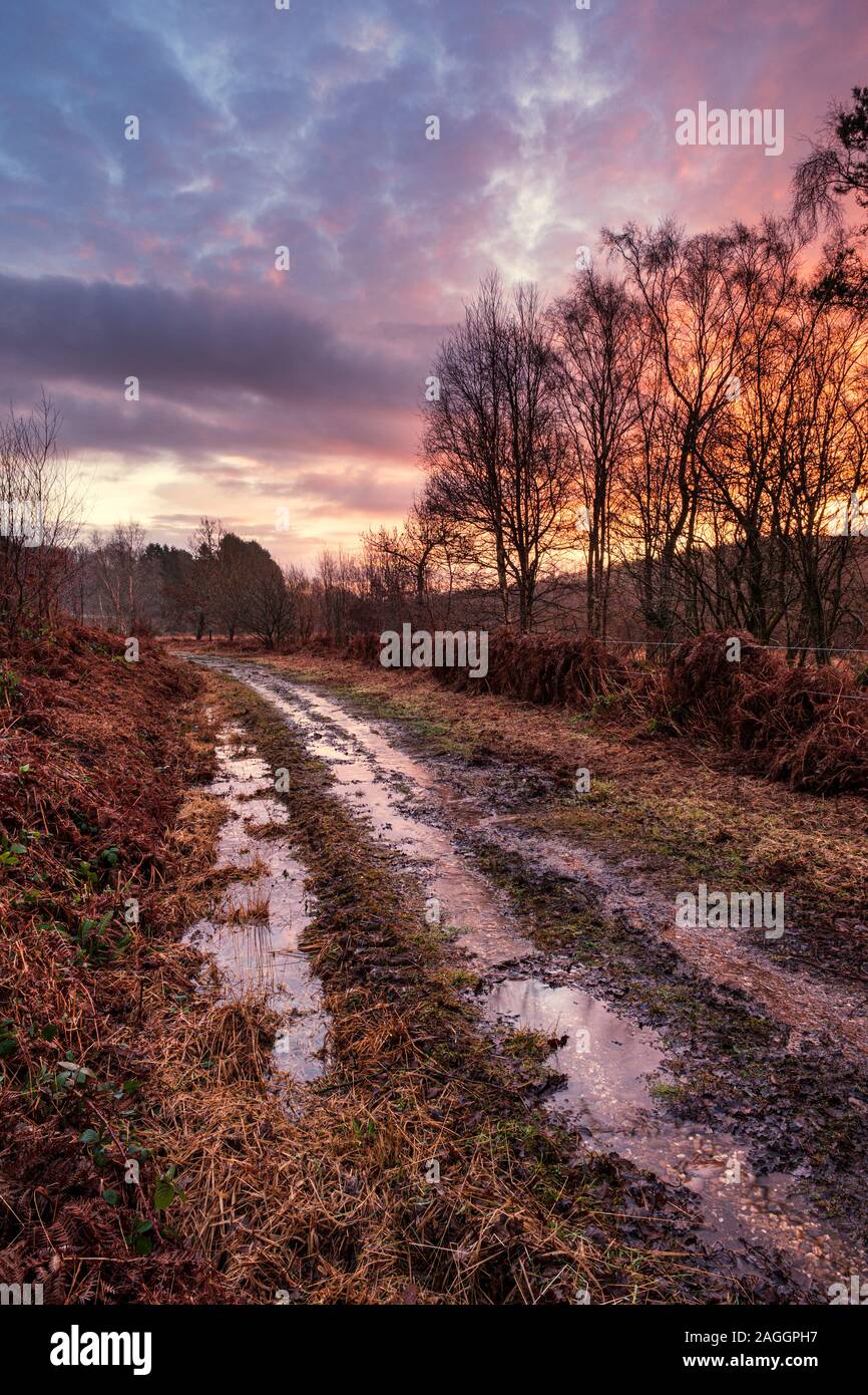 Waterlogged trail hi-res stock photography and images - Alamy