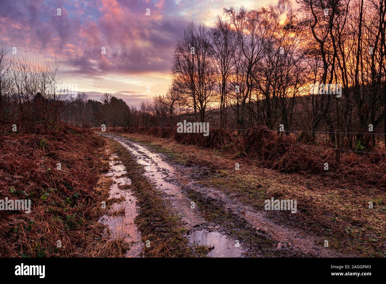 Waterlogged road hi-res stock photography and images - Alamy