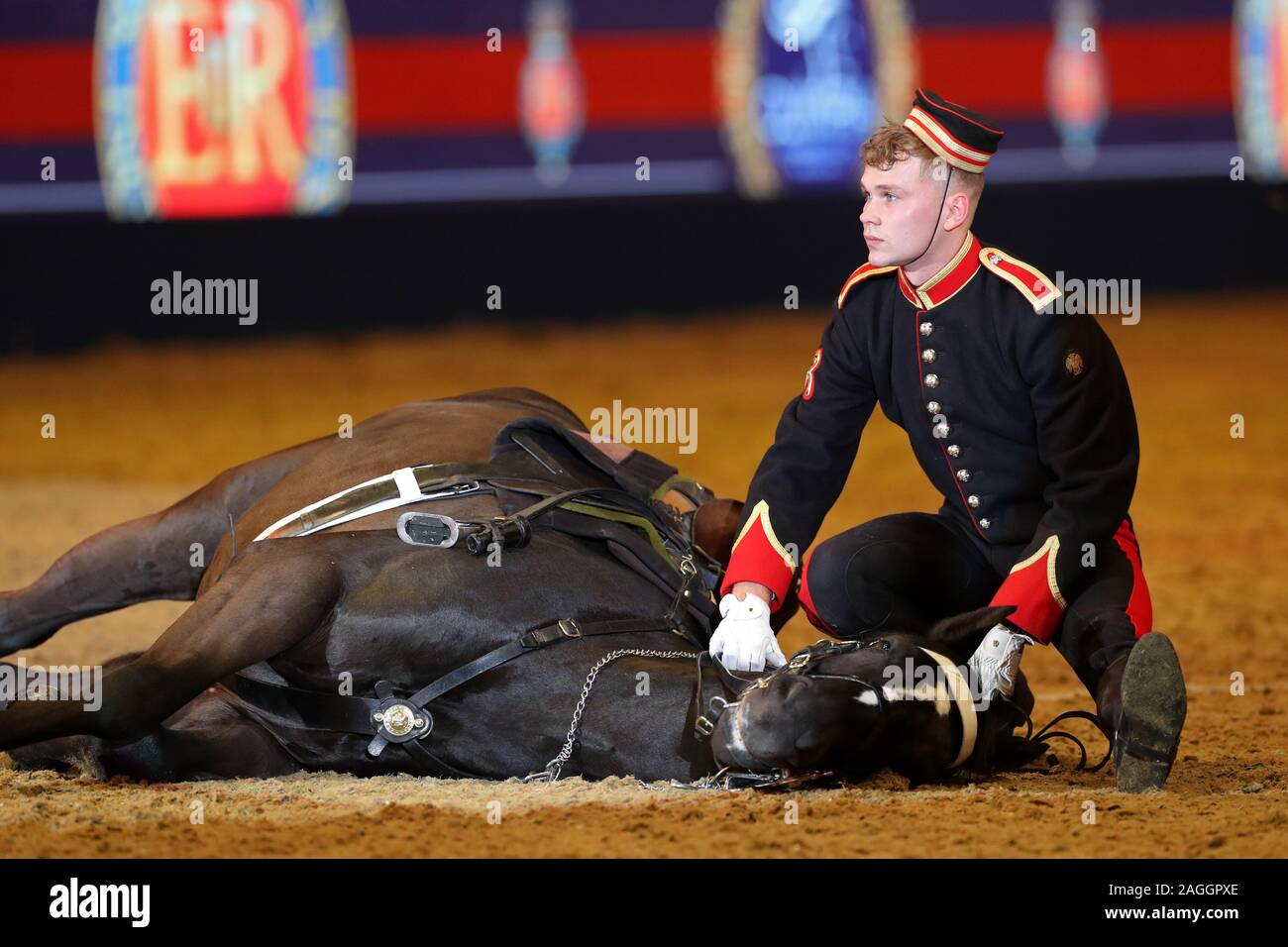 LONDON, ENGLAND - DECEMBER 18TH a Household Cavalry lays down during ...