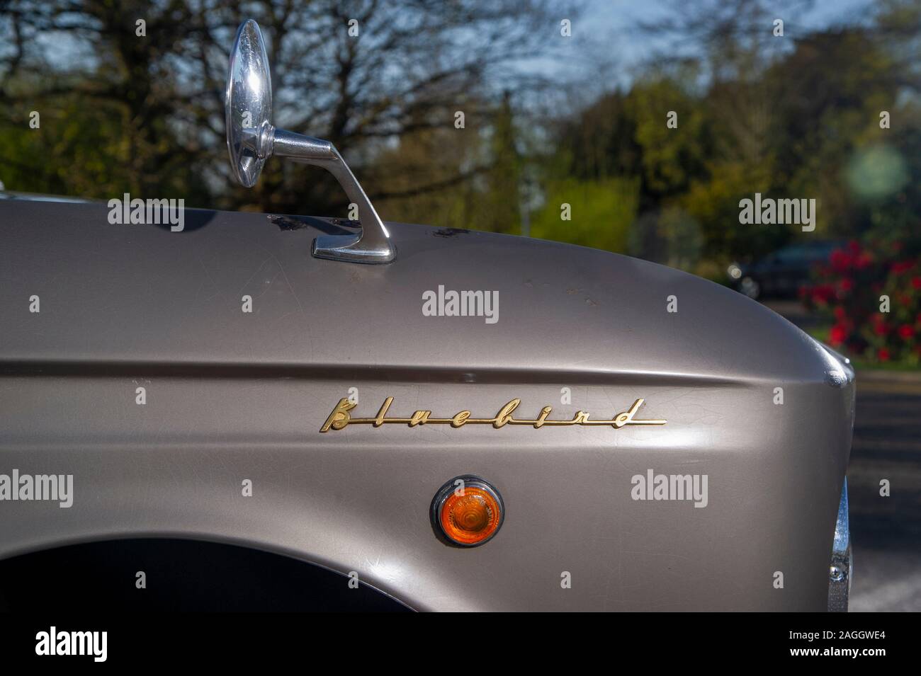 1967 Datsun (Nissan) Bluebird 410 Series classic Japanese saloon car ...