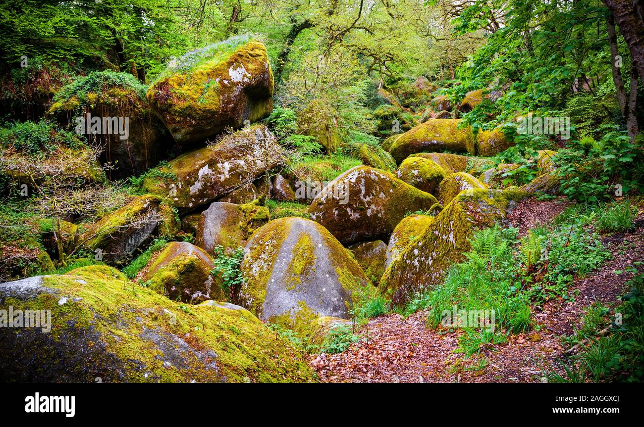 Boulders in the forest at Huelgoat in Brittany, France Stock Photo - Alamy