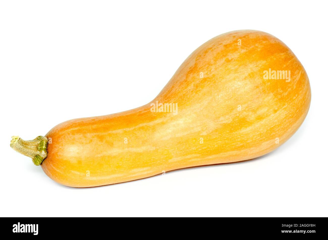 pumpkin isolated on a white background Stock Photo - Alamy