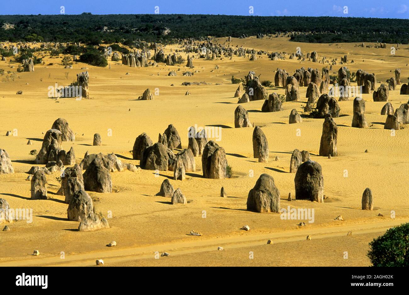 Pinnacles western australia person hi-res stock photography and images ...