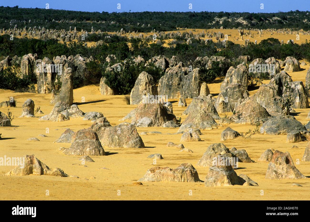 Pinnacles western australia person hi-res stock photography and images ...
