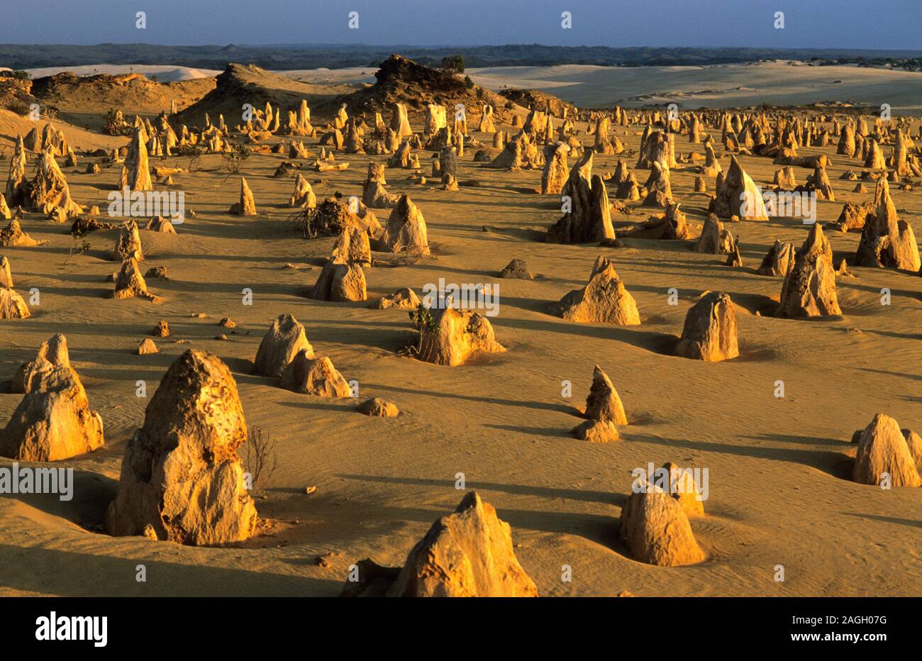 Pinnacles Desert. Nambung National Park. Western Australia Stock Photo ...