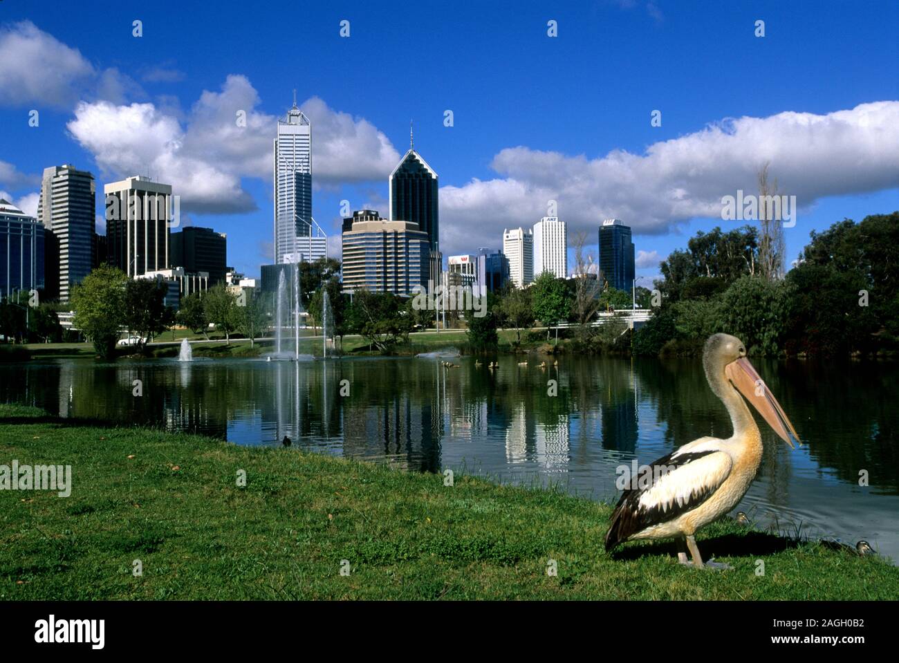 Perth Western Australia. Kings park and botanic garden Stock Photo - Alamy