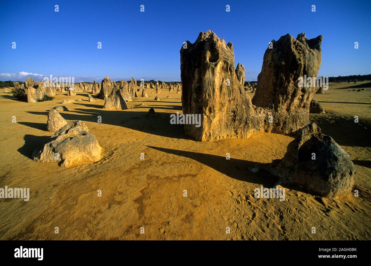 Pinnacles Desert. Nambung National Park. Western Australia Stock Photo ...