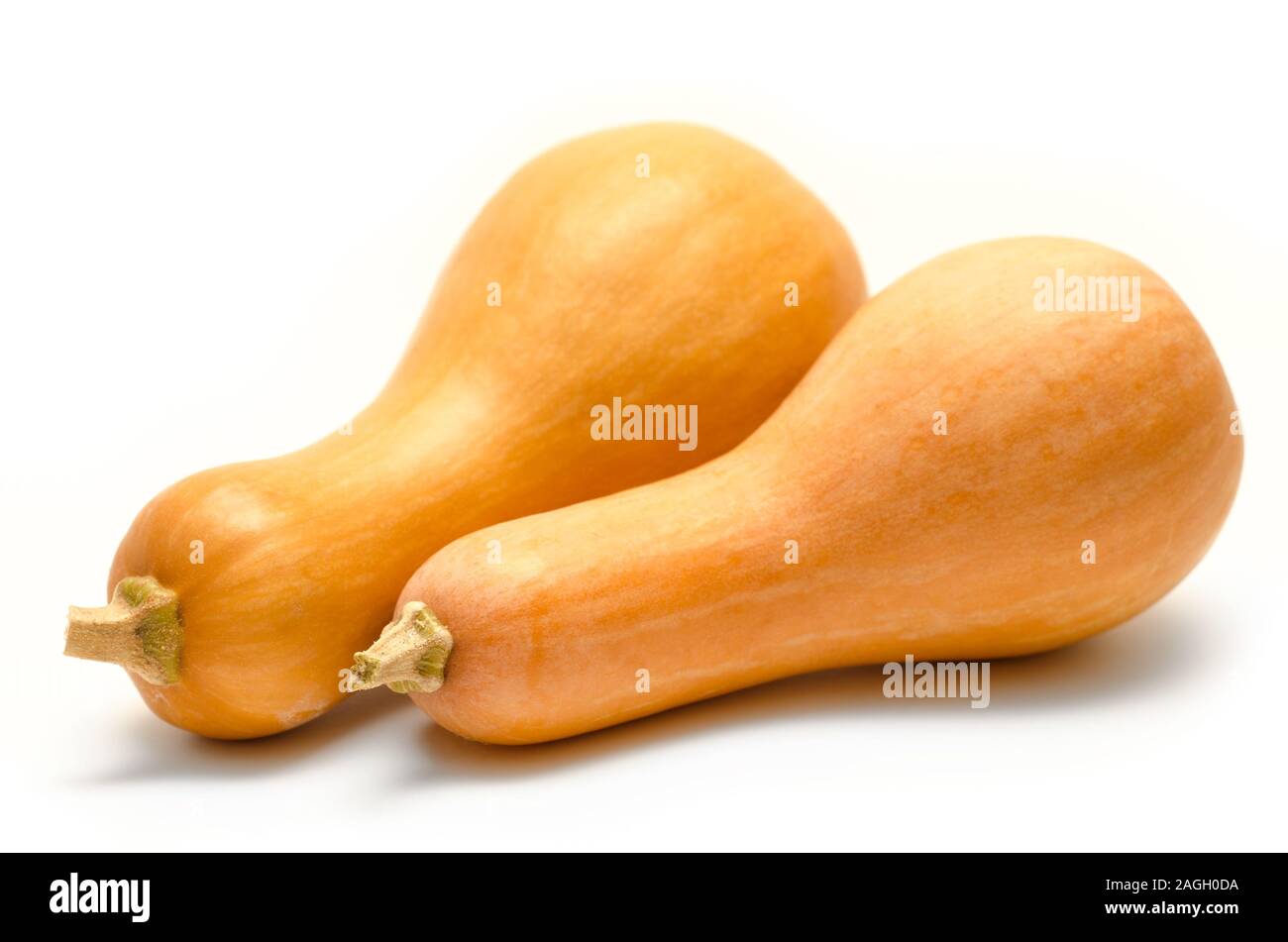 Two fresh orange pumpkins hi-res stock photography and images - Alamy