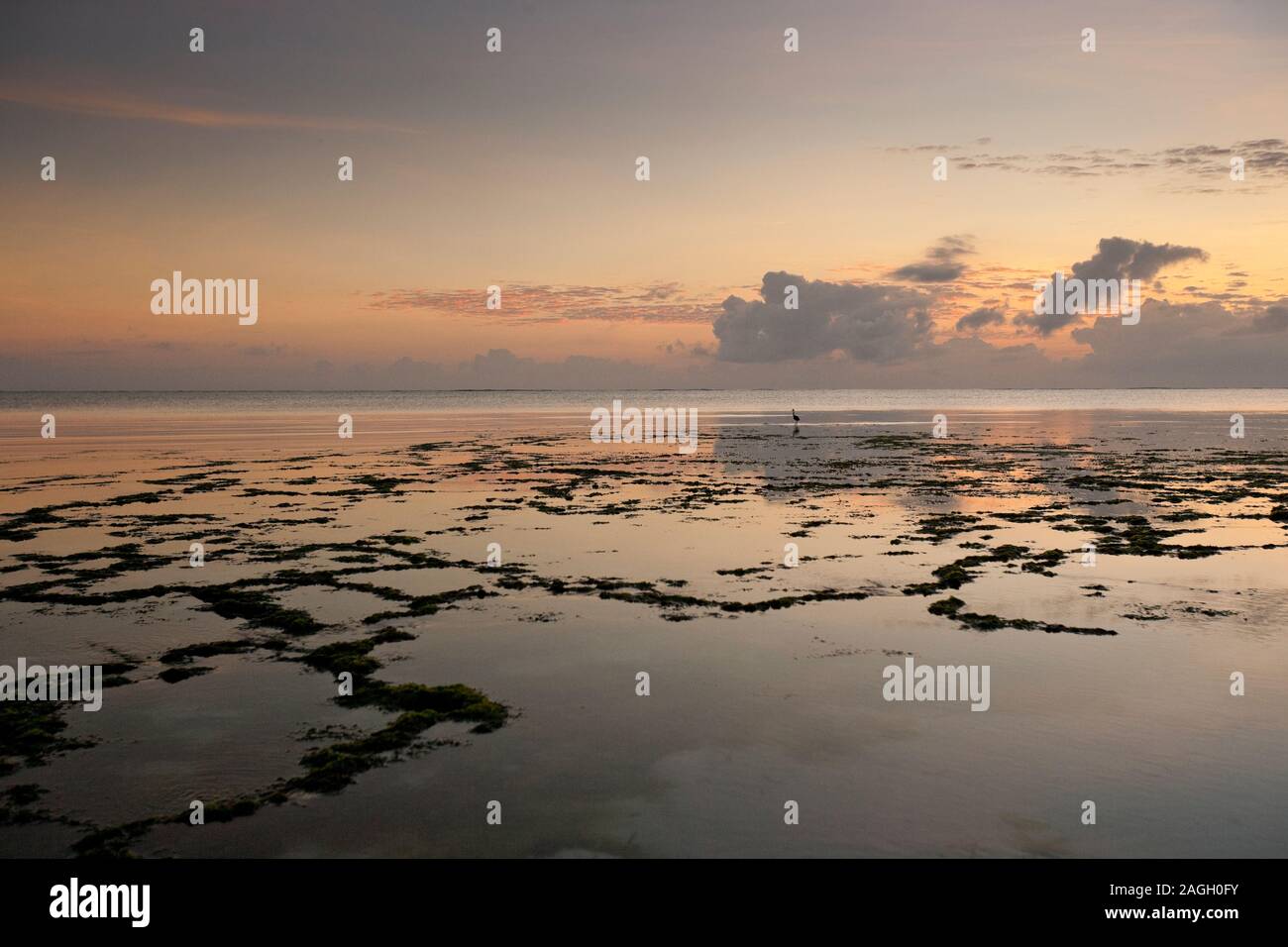 Indian Ocean at dawn off the coast of Zanzibar, Tanzania Stock Photo ...