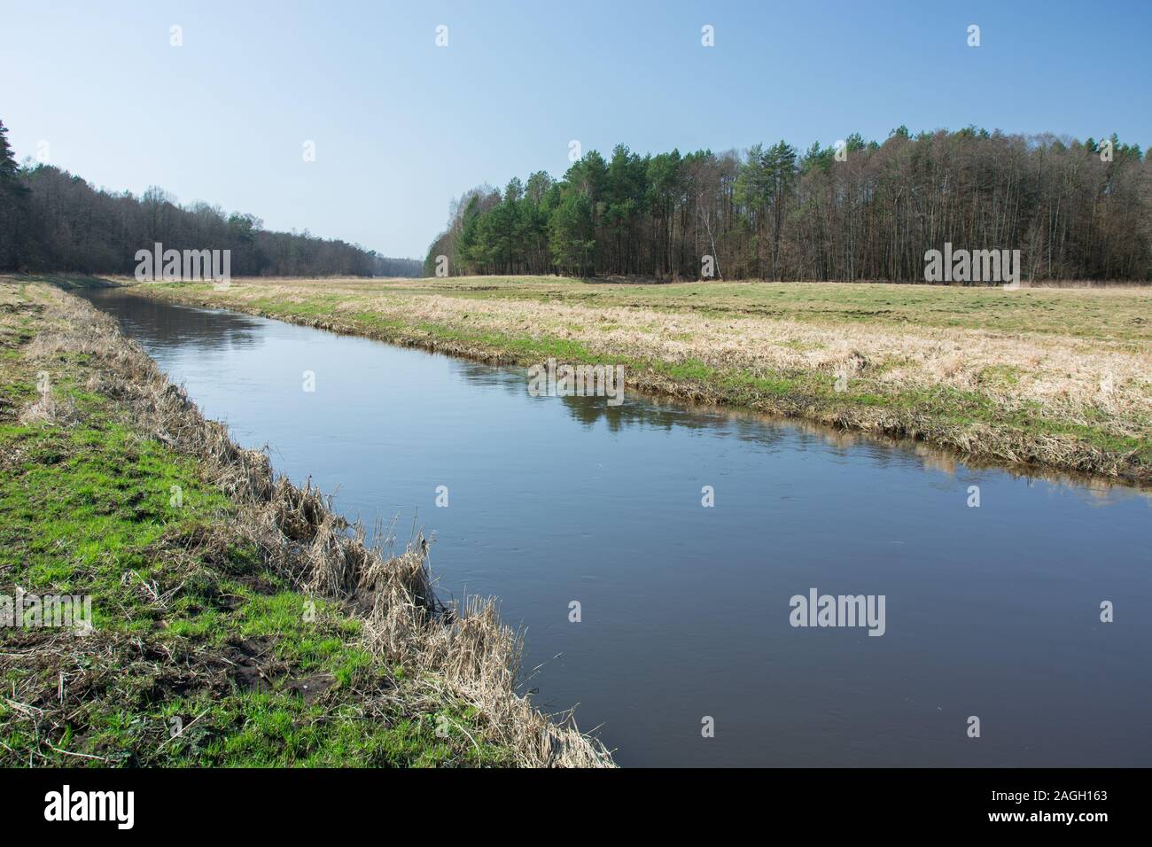 Meadow riverside forest hi-res stock photography and images - Alamy
