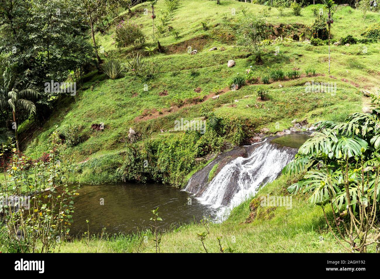 Cascades in Termales of Santa Rosa de Cabal in Risaralda, Colombia ...