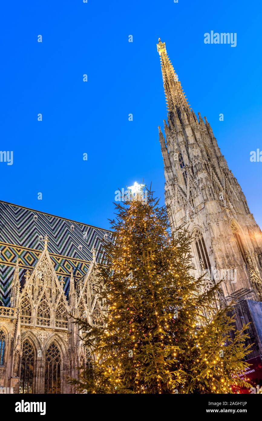 St. Stephen's Cathedral or Stephansdom at Christmas, Vienna, Austria ...