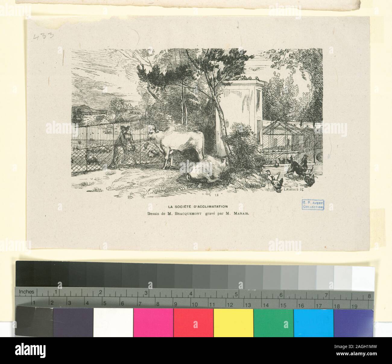 Charles francois felix hi-res stock photography and images - Alamy