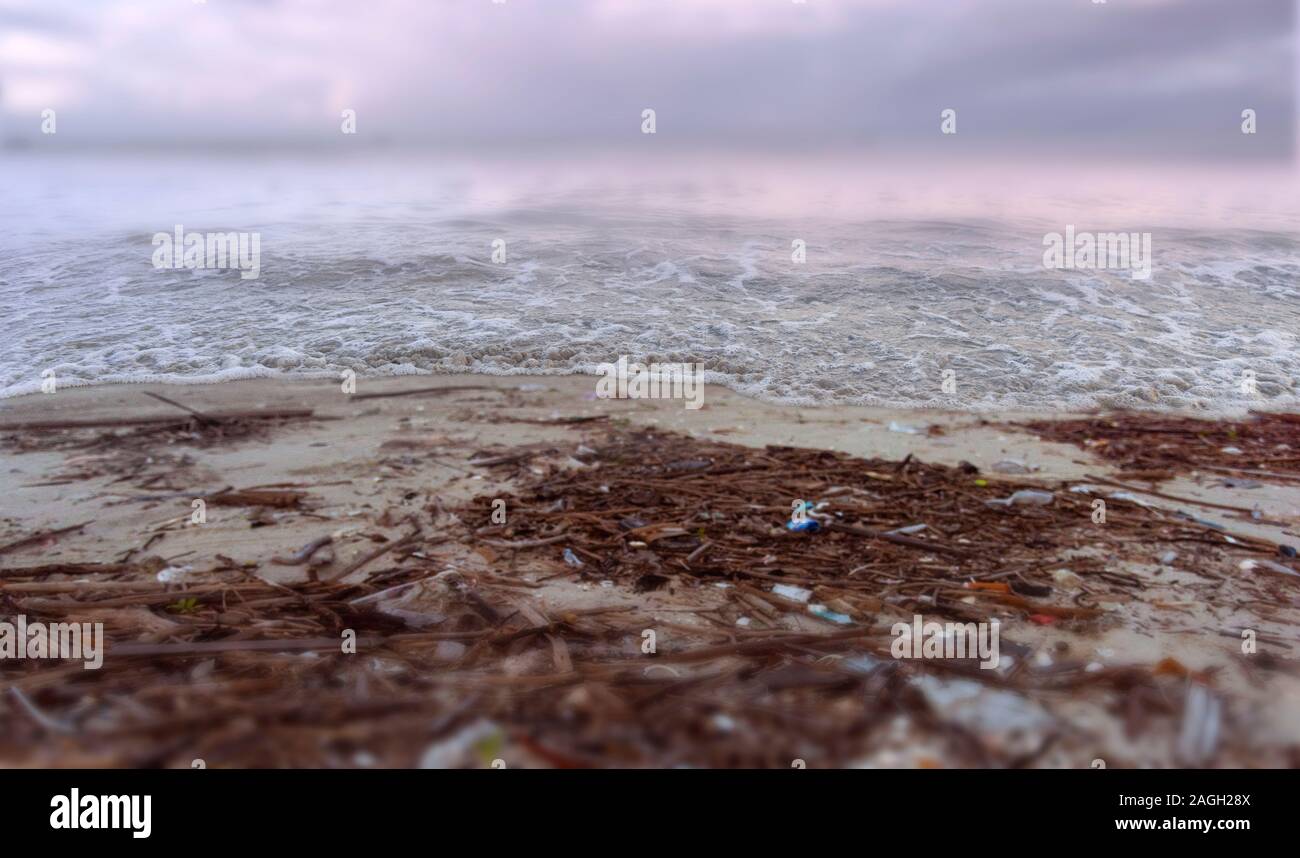 Plastic pollution in marine environmental problems Animals in the sea ...