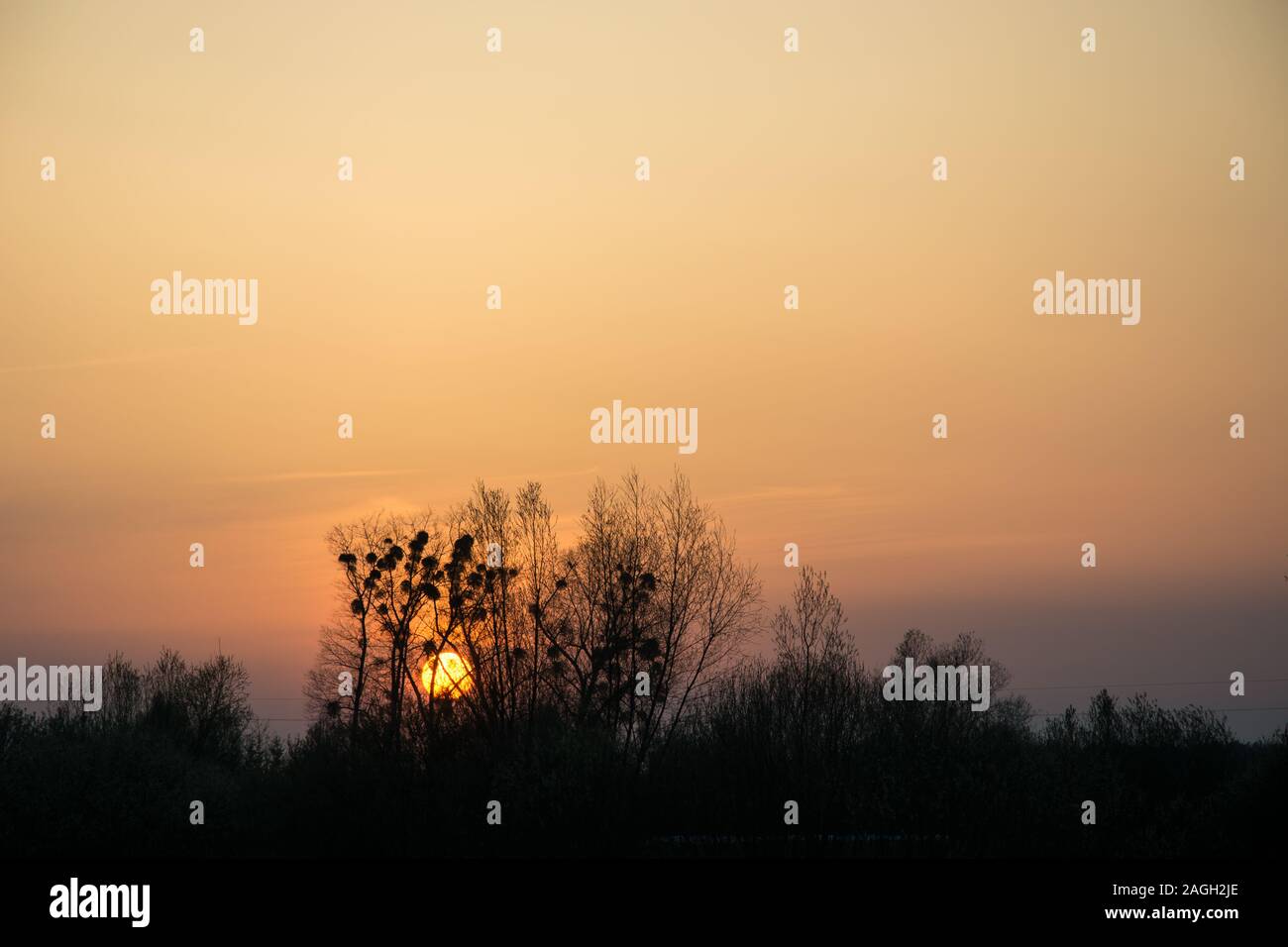 Evening red sky trees hi-res stock photography and images - Alamy