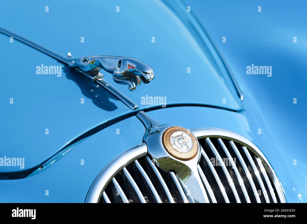 Vehicle badge and front grille closeup on a vintage Jaguar automobile ...