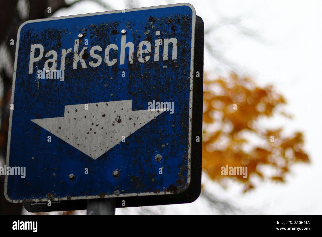 Blue traffic sign in Munich with colorful trees on the blurry ...