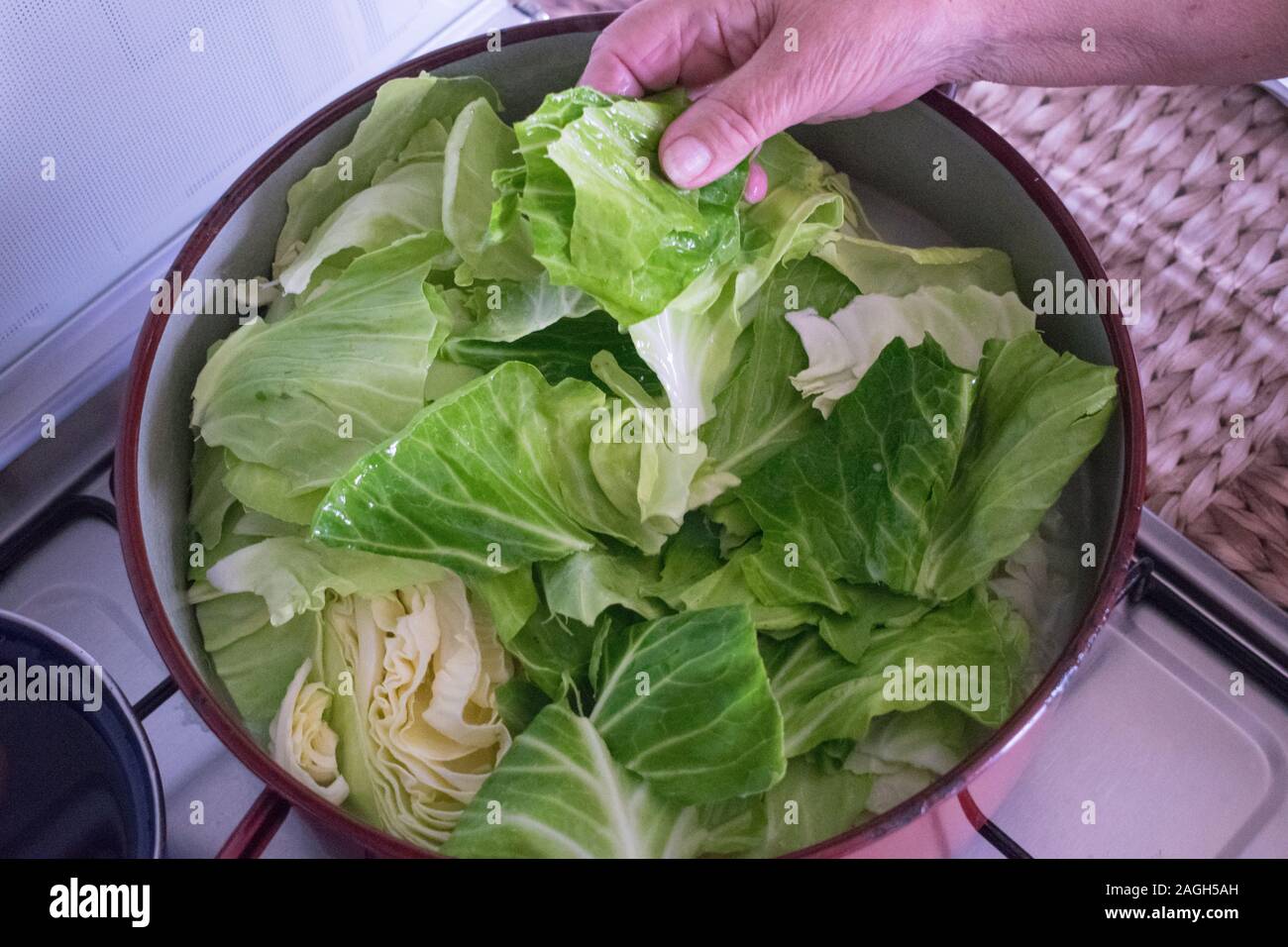 Cabbages cooking in a pot of water Stock Photo - Alamy