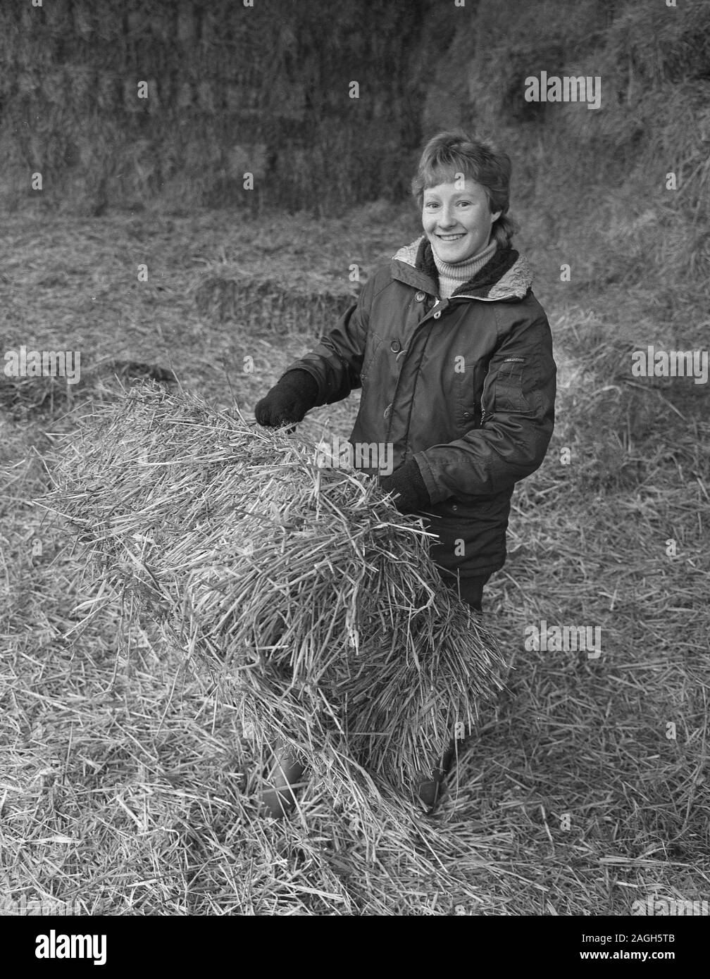 1980s, historical, a lady farmer in barn moving bales of hay, Yorkshire ...