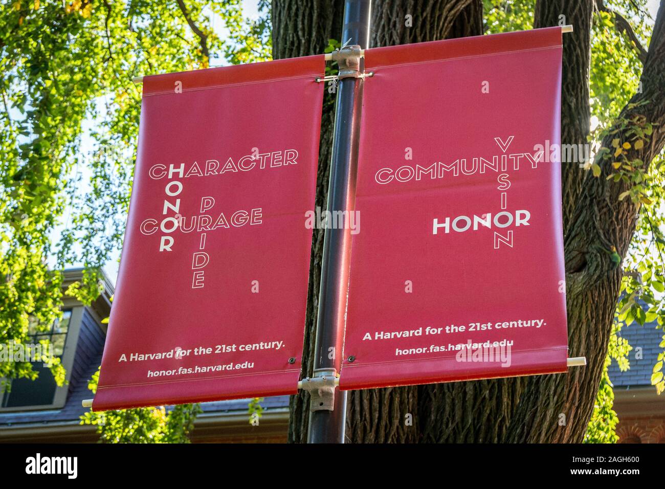 Harvard University Ads