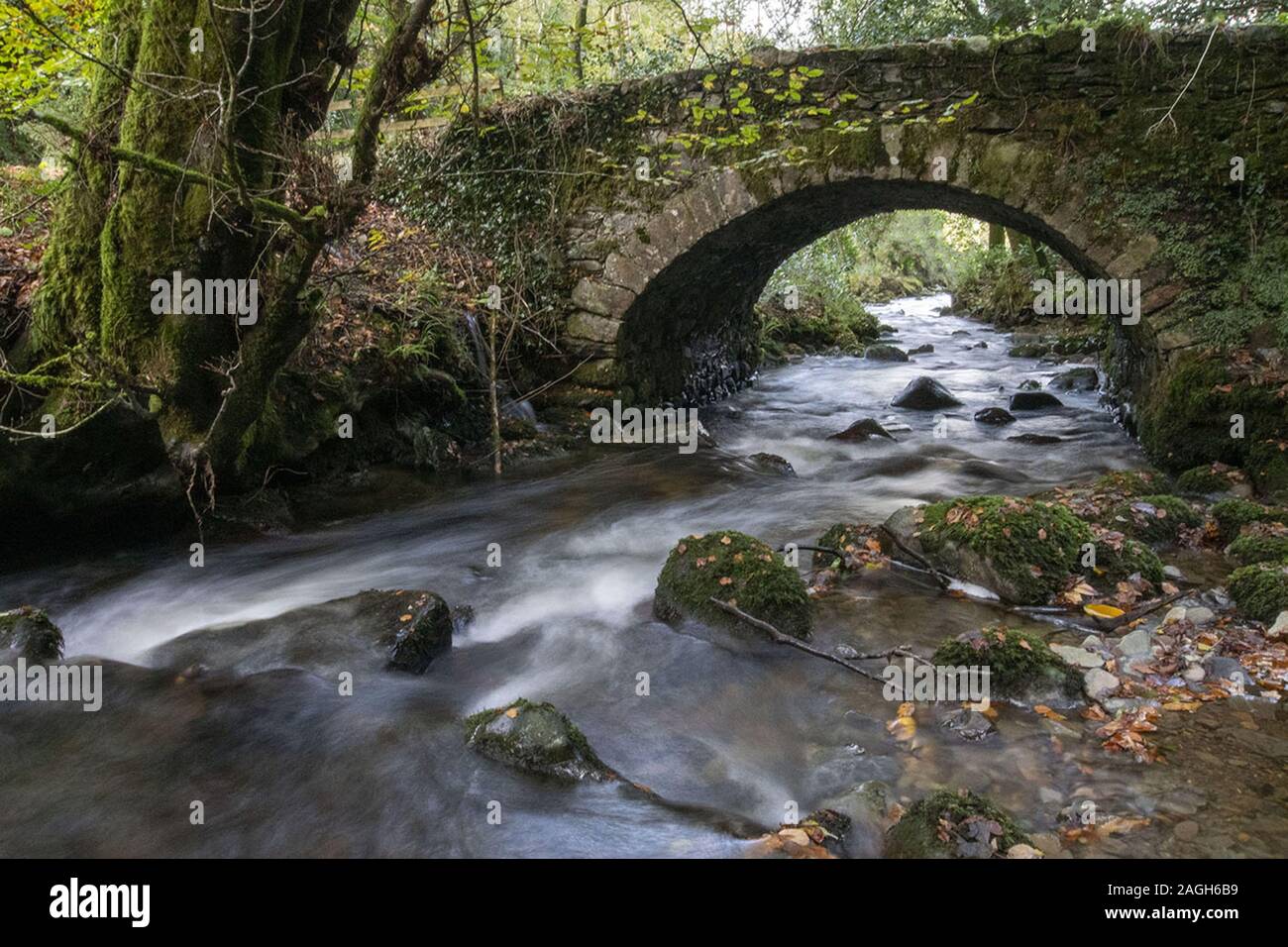 Stone arch bridge on a river surrounded by stones and greenery in a ...