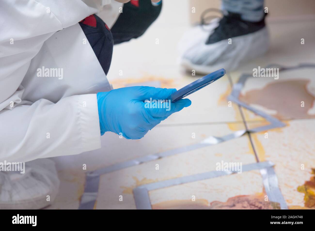 Forensic technicians taking DNA sample from blood stain with cotton ...