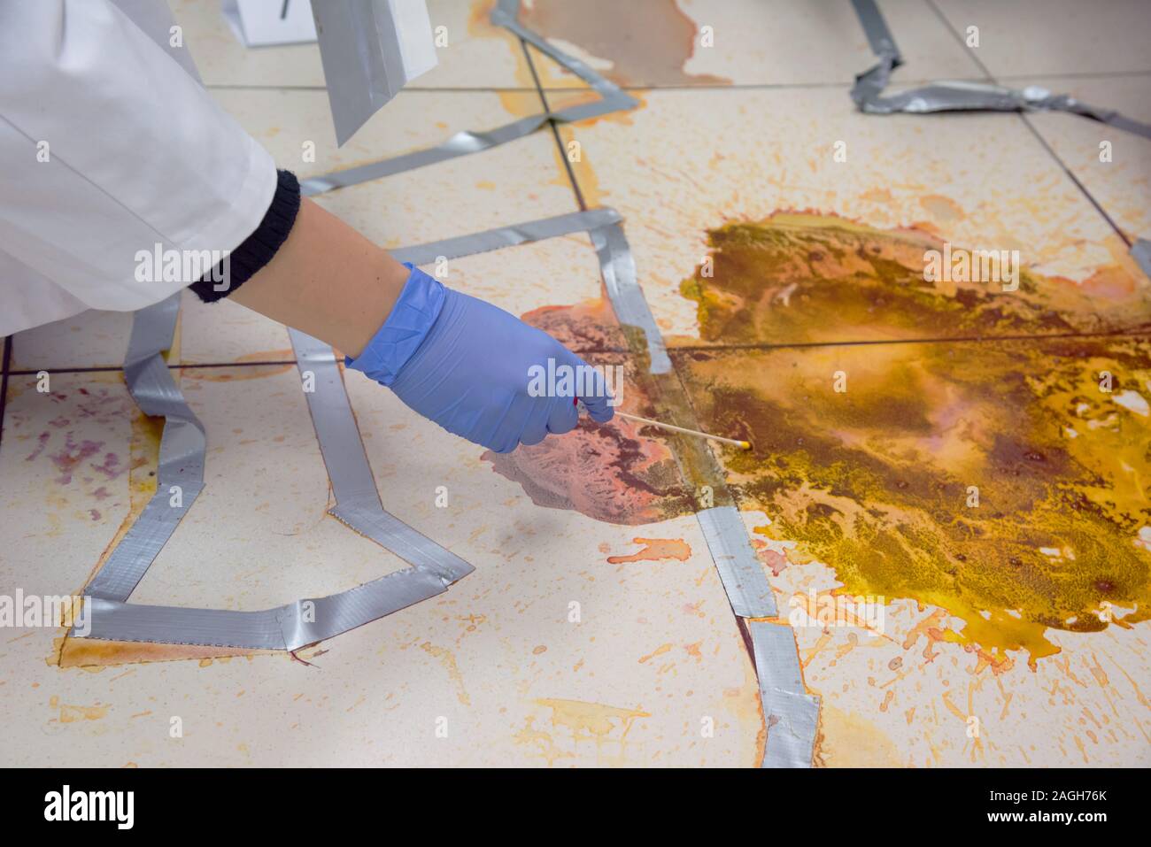 Forensic technicians taking DNA sample from blood stain with cotton ...