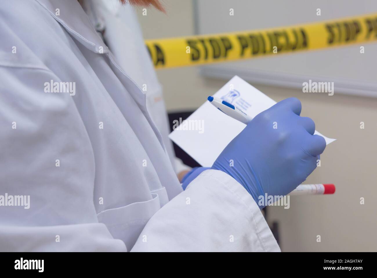 Forensic technicians taking DNA sample from blood stain with cotton ...