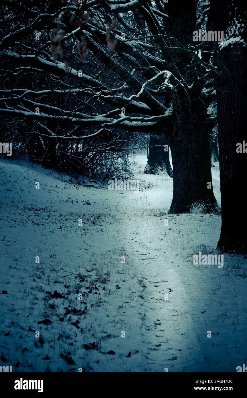 Row trees path in hi-res stock photography and images - Alamy