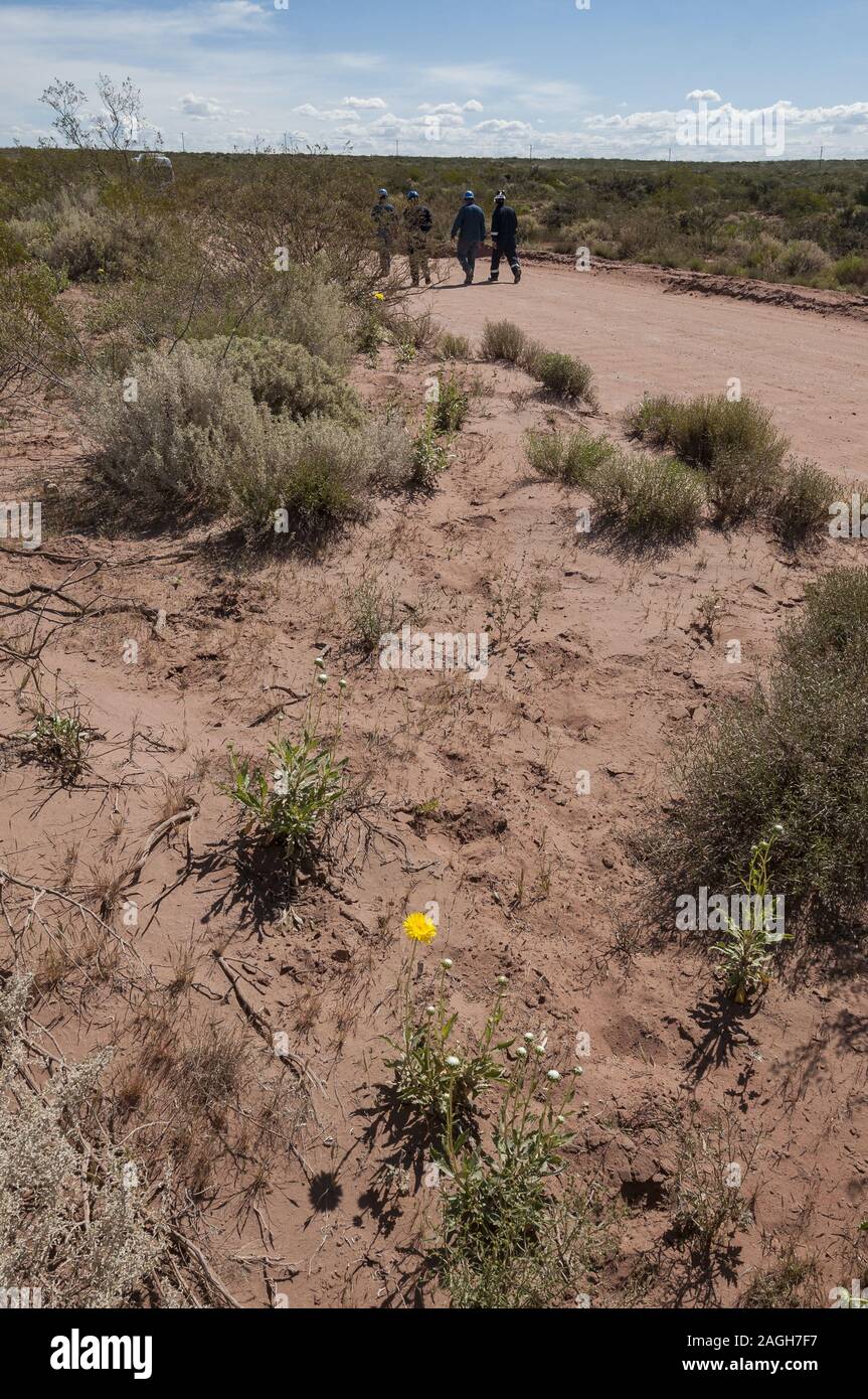 Vaca muerta shale hi-res stock photography and images - Alamy