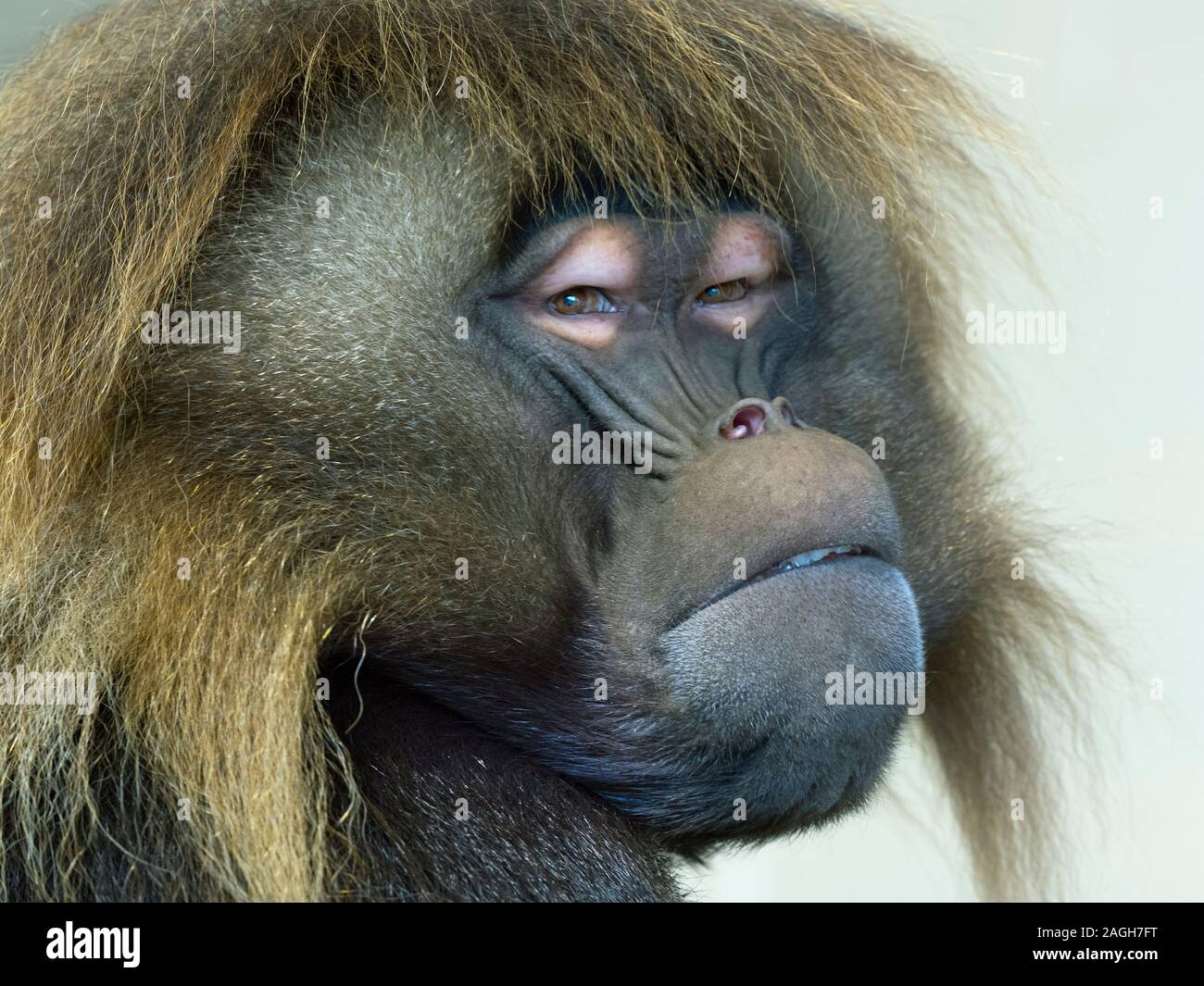 Ethiopian highlands hi-res stock photography and images - Alamy