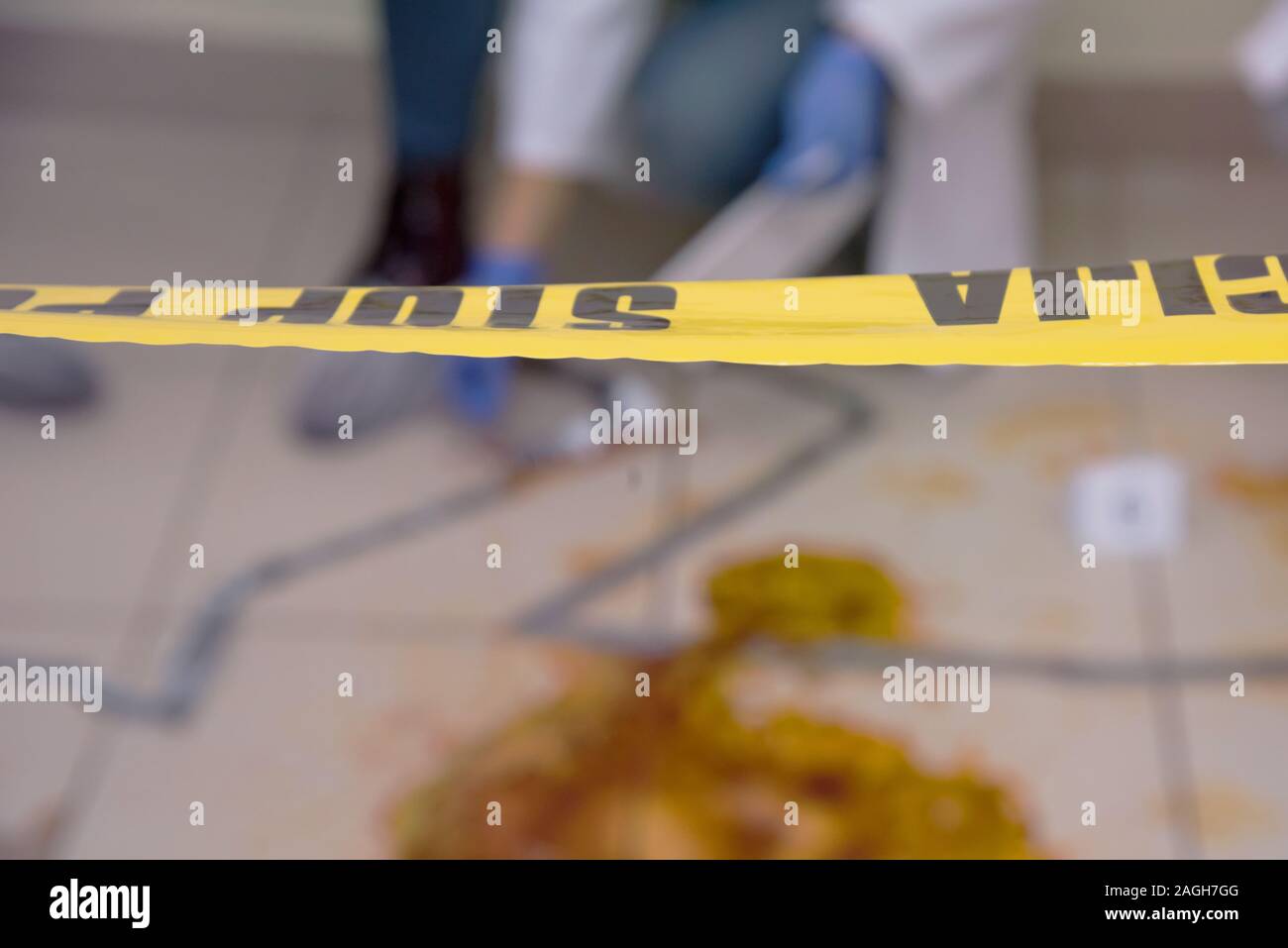 Forensic technicians taking DNA sample from blood stain with cotton ...