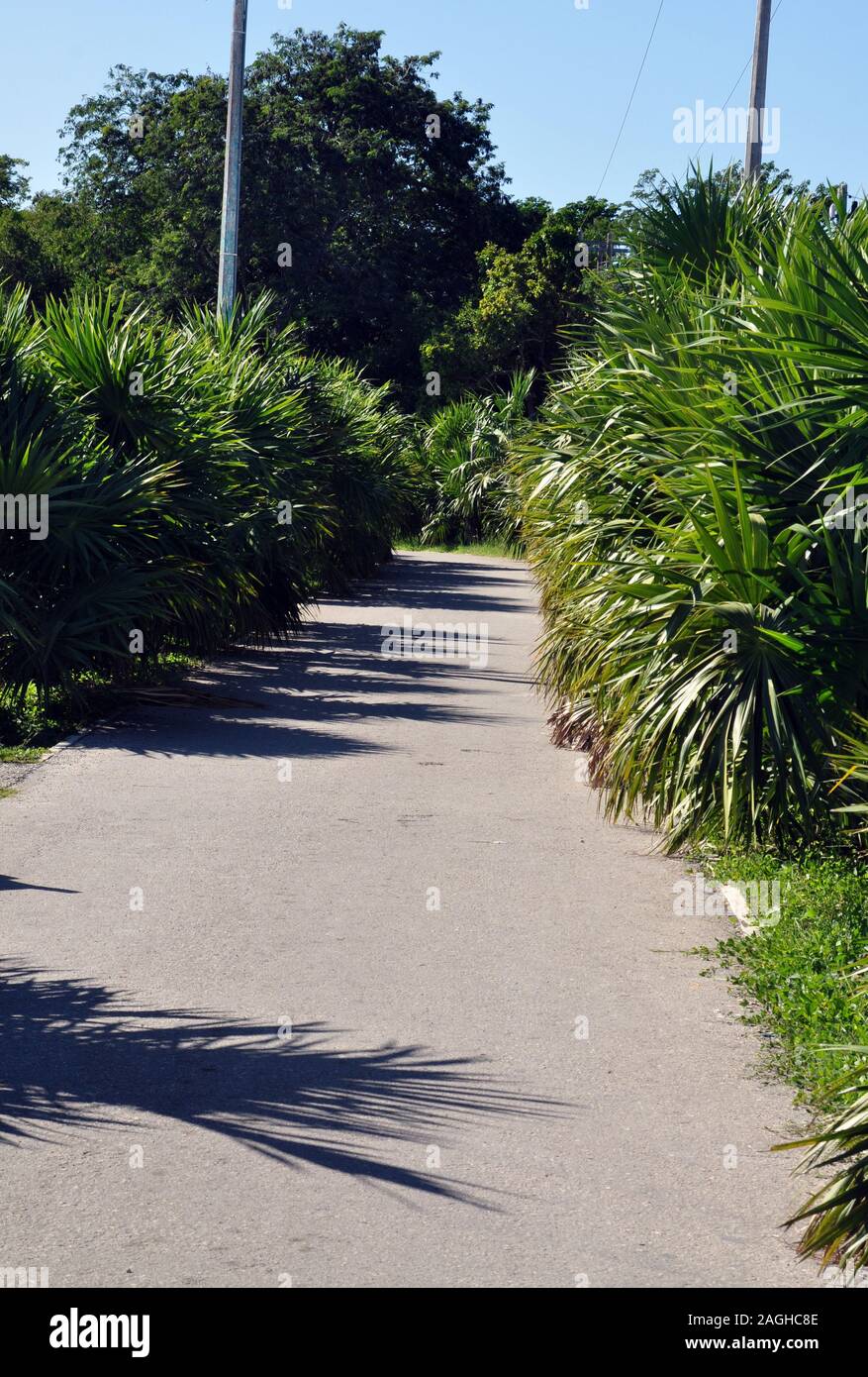 Tulum Pueblo High Resolution Stock Photography and Images - Alamy