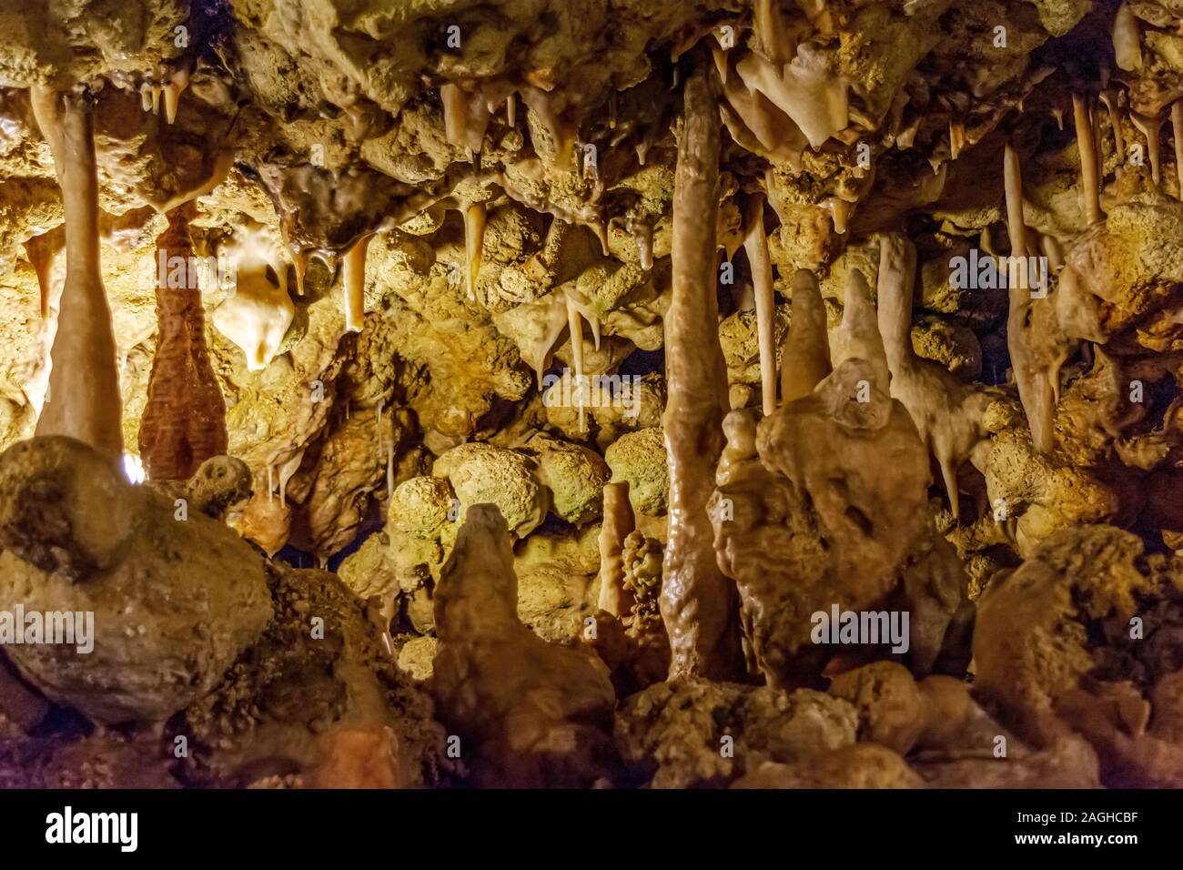 Calcified limestone formation hi-res stock photography and images - Alamy