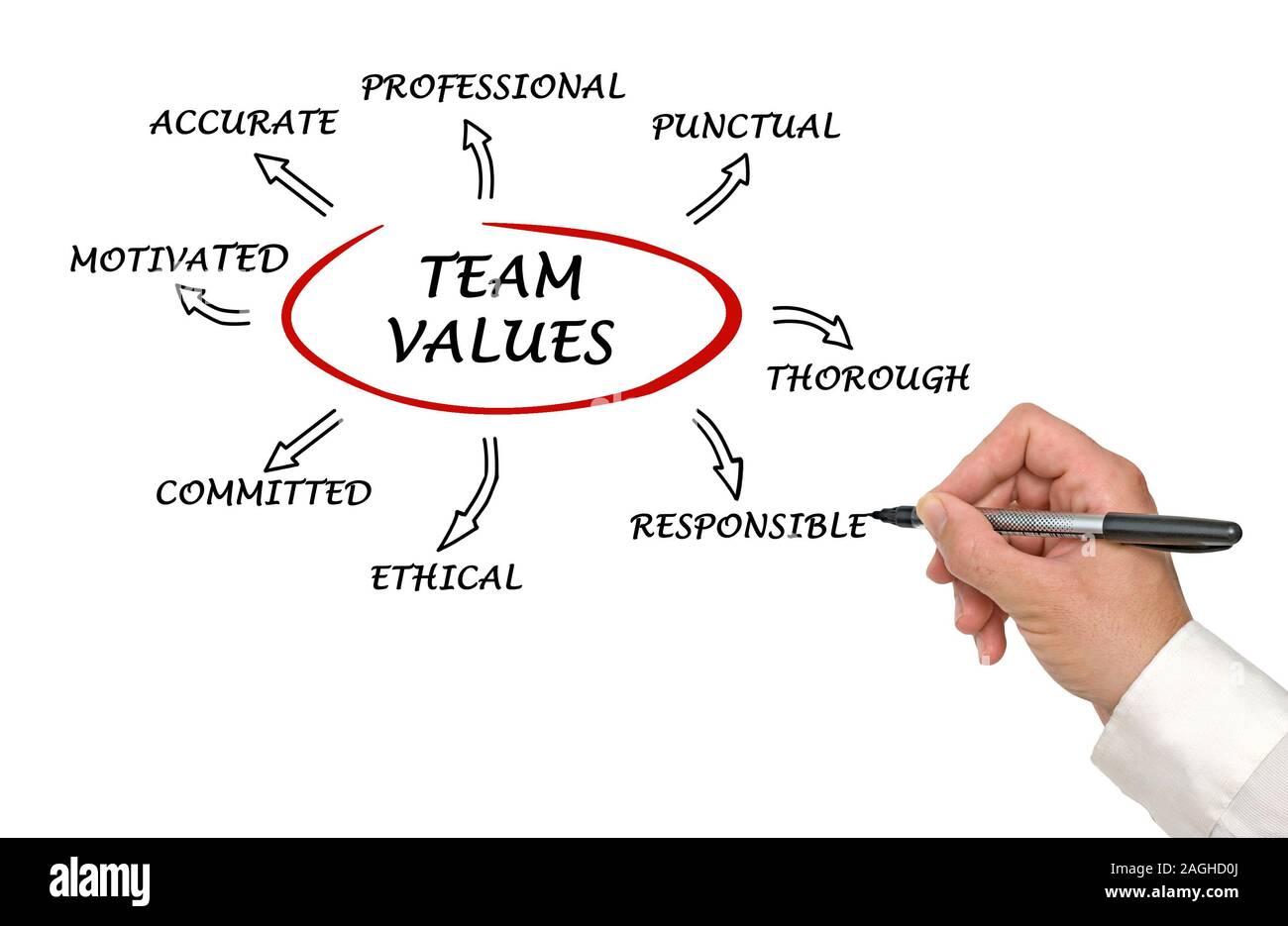 team values and norms Stock Photo - Alamy