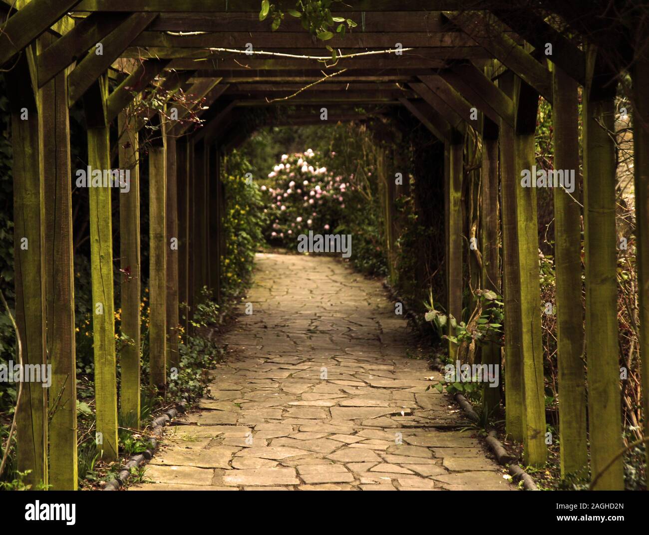 Secret path hidden path hi-res stock photography and images - Alamy
