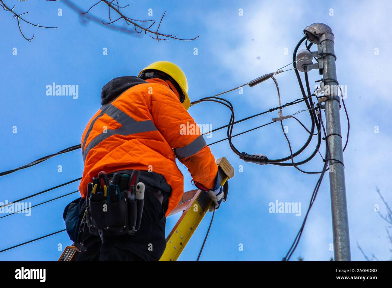 A telecoms operative is seen working from a ladder on a utility pole ...