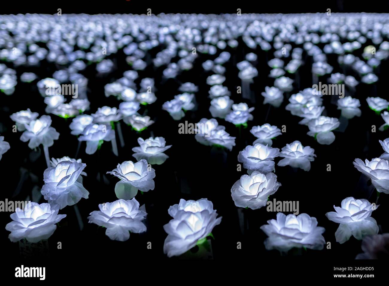 London, UK. 19th December, 2019. Ever After Garden in Grosvenor Square ...