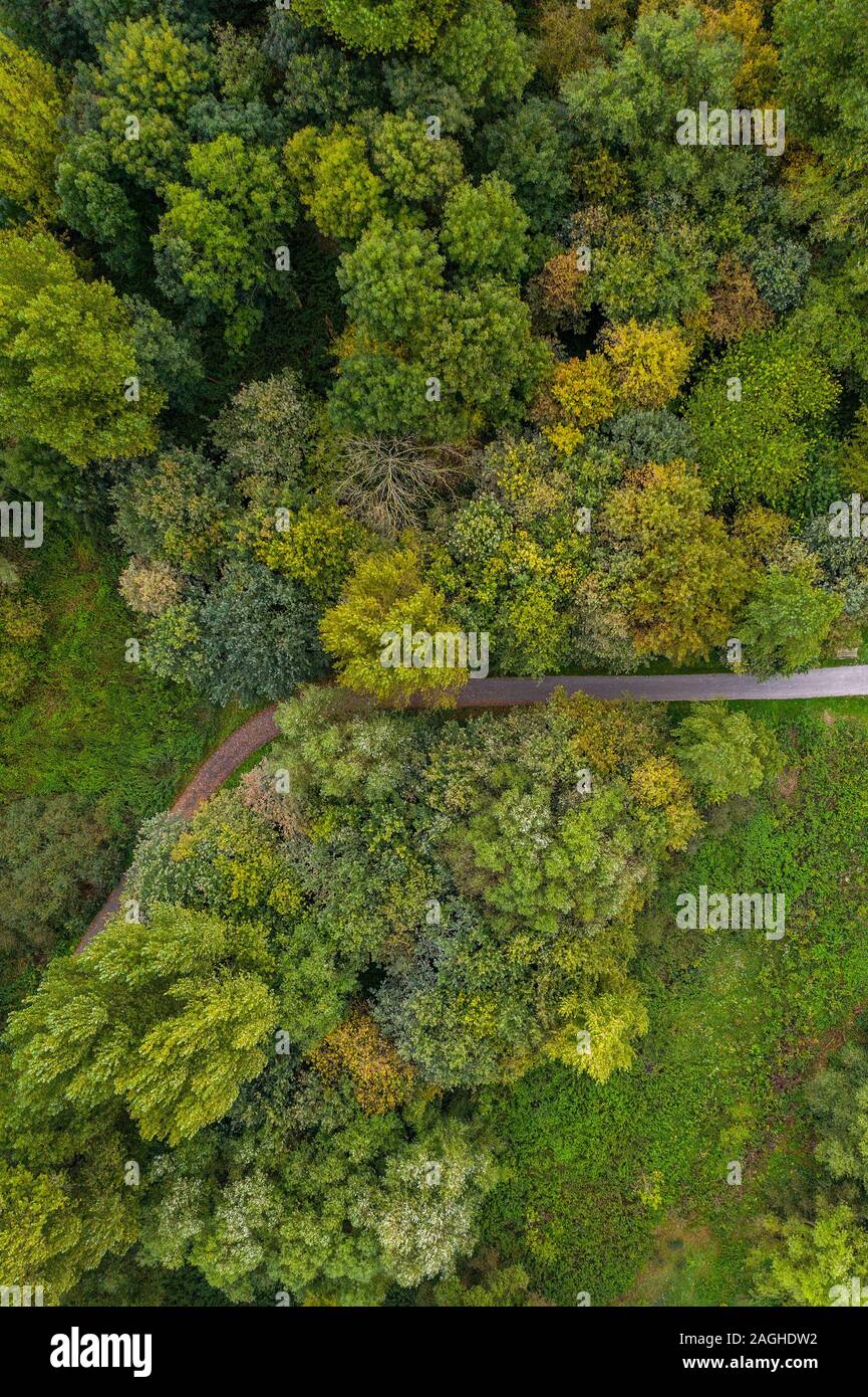 forest trees from above, Drone photography Stock Photo - Alamy