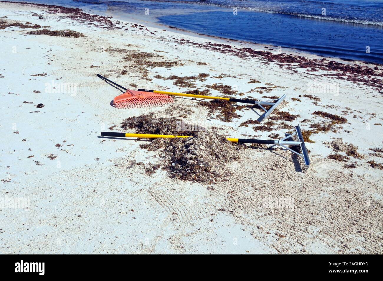 Blue ocean and seaweed background hi-res stock photography and images ...