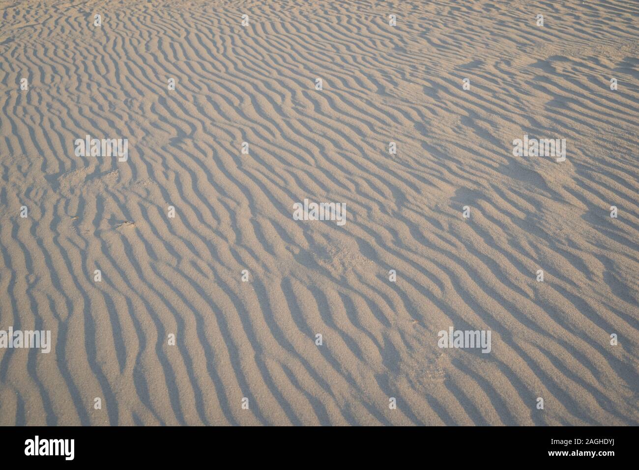Ripples and waves in sand on a beach. Effect by the wind Stock Photo ...