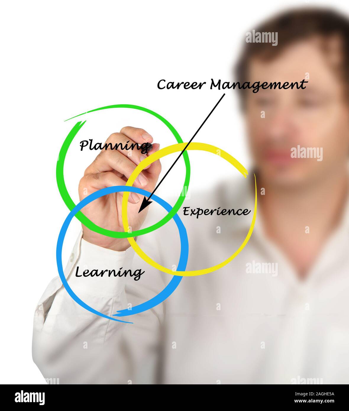 Diagram of career management Stock Photo - Alamy