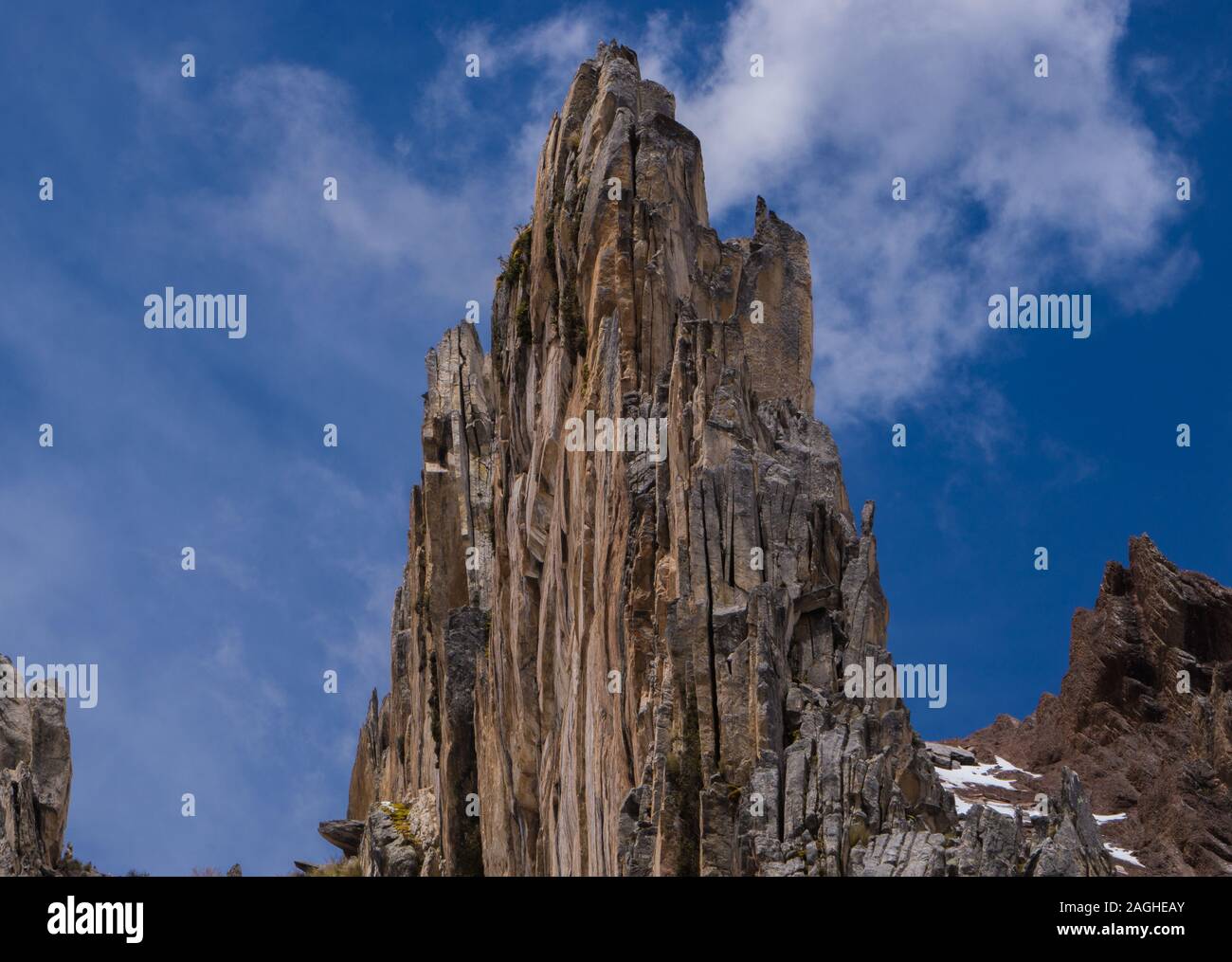 Peru forest fall hi-res stock photography and images - Alamy