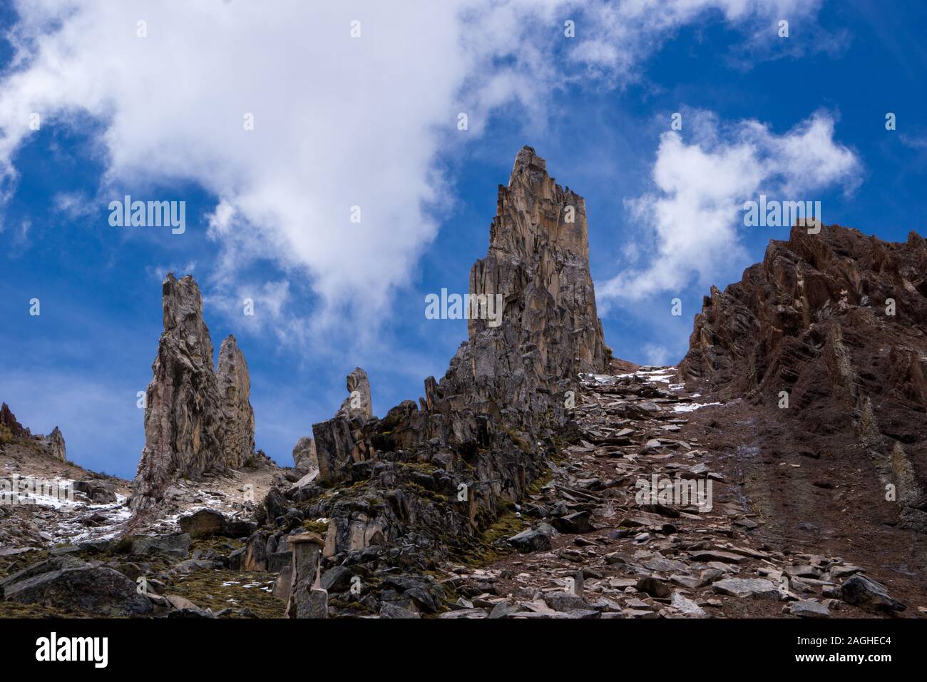 Peru forest fall hi-res stock photography and images - Alamy