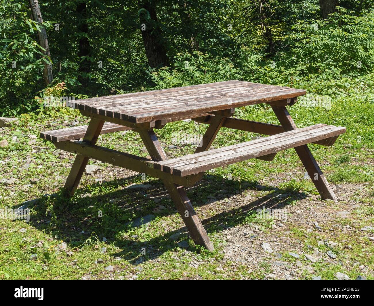 An old table and benches stands on the green grass in the forest Stock ...