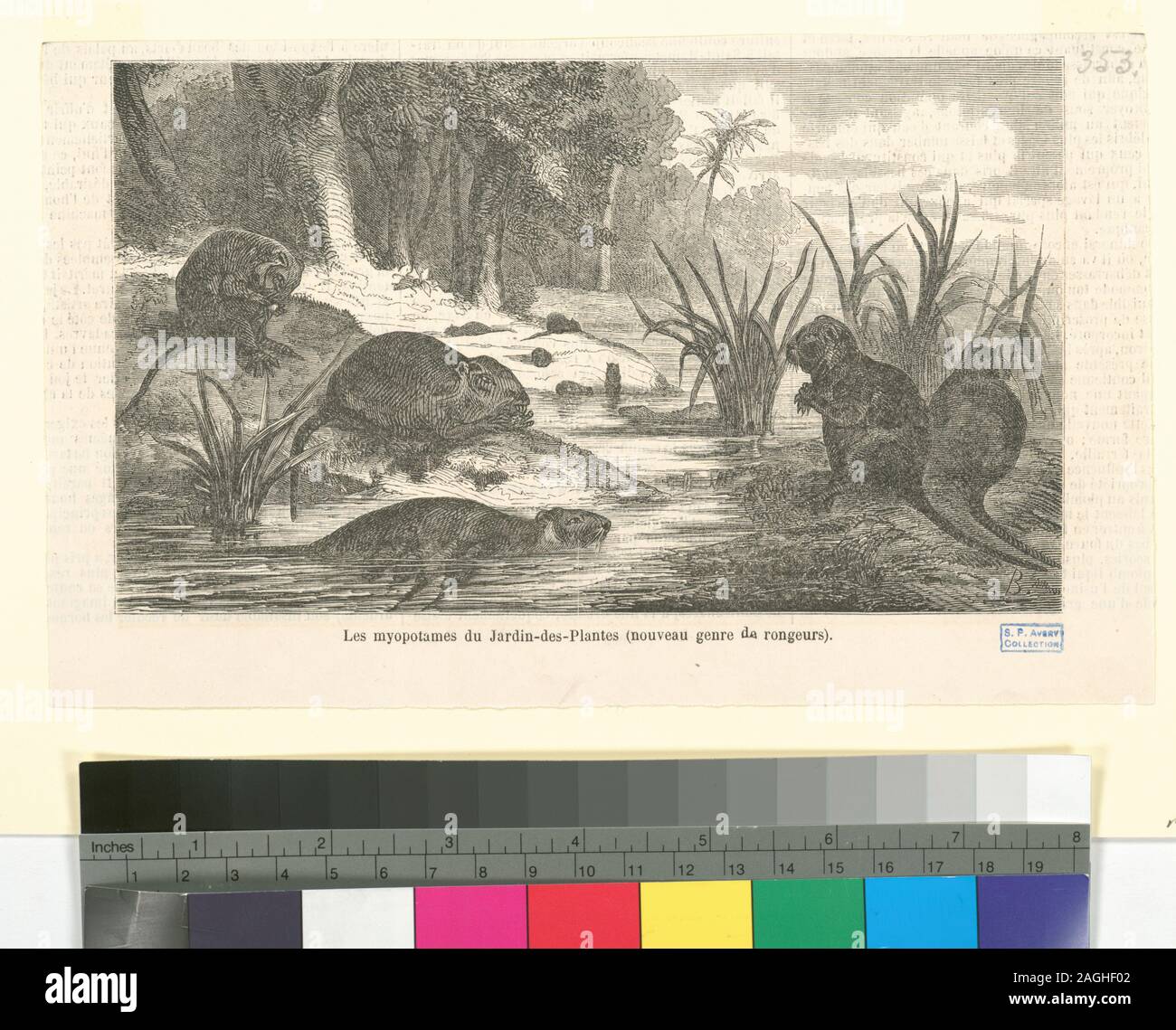 Charles francois felix hi-res stock photography and images - Alamy