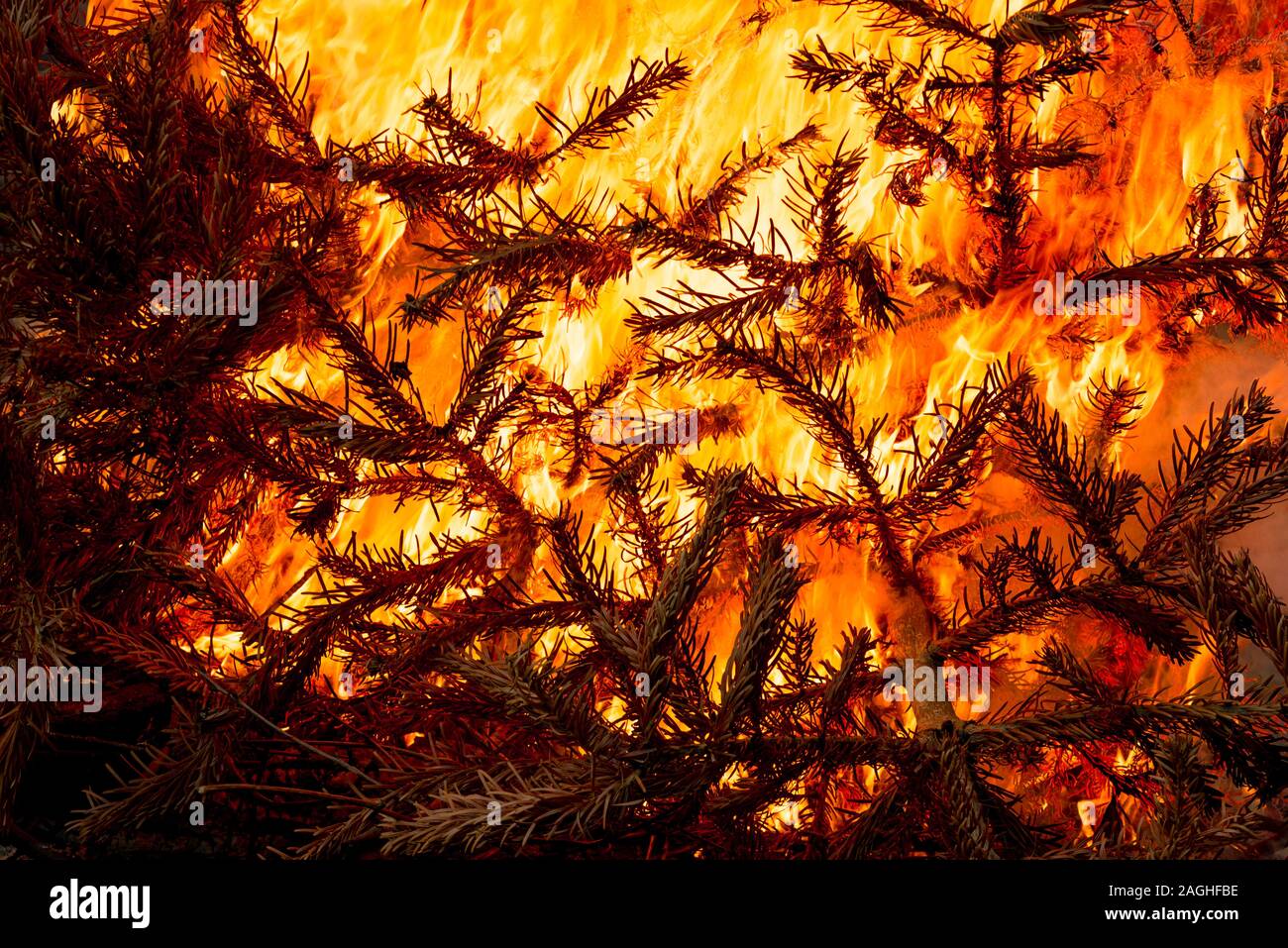 Christmas tree flaming burning Stock Photo - Alamy