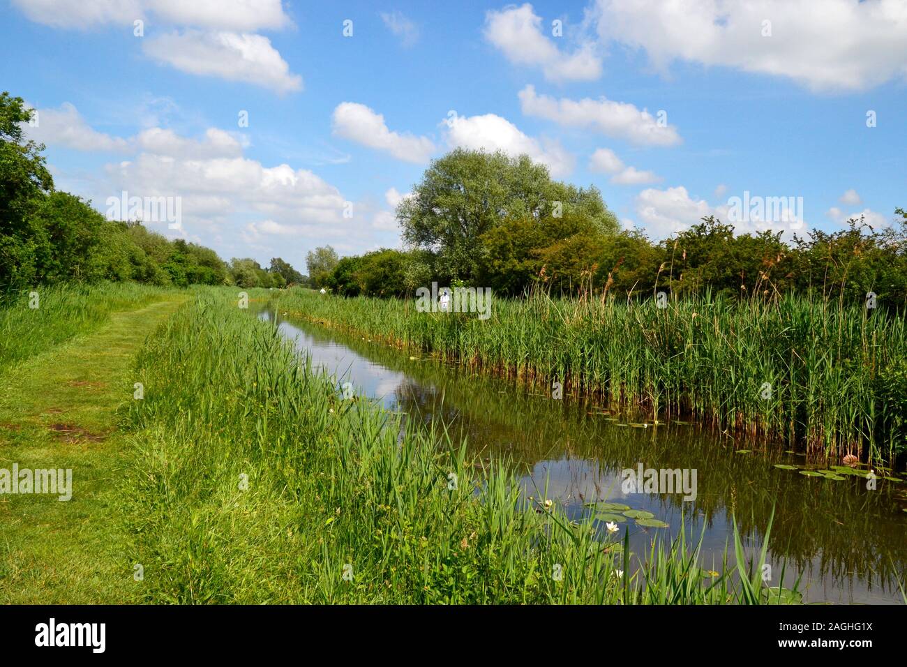 Fen nature reserve hi-res stock photography and images - Alamy
