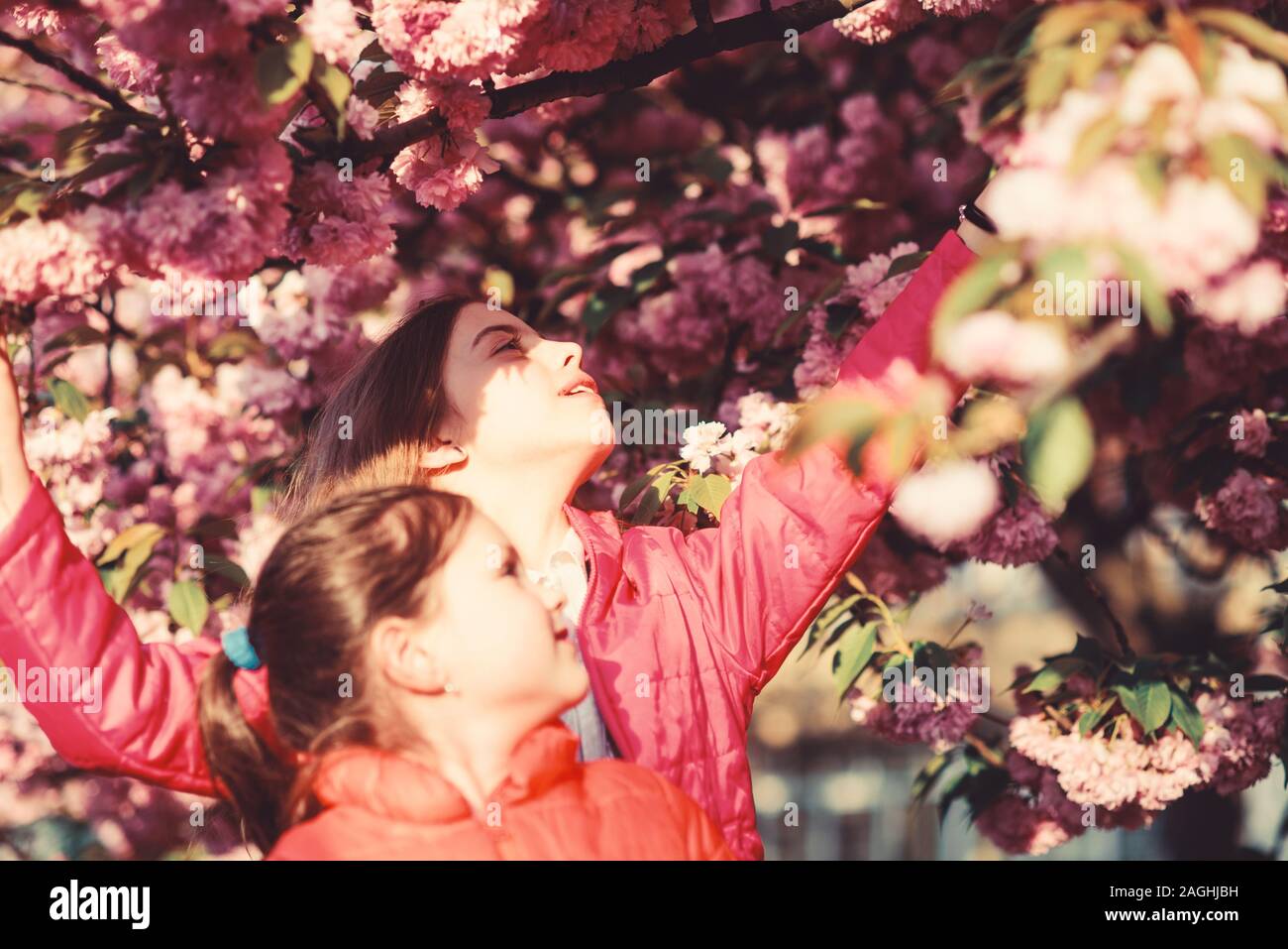 Pink is our favorite. Children enjoy spring garden. Sakura garden ...