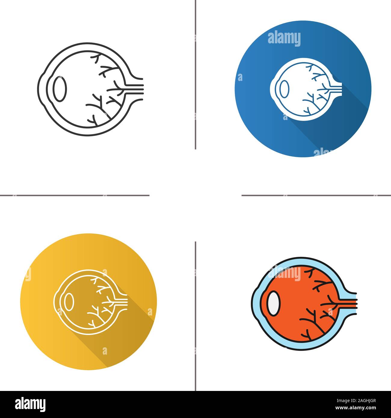 Eye anatomy icon. Flat design, linear and color styles. Sore eye ...